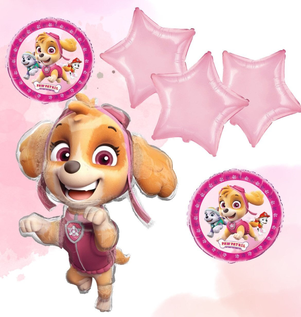 Paw Patrol Balloons | Paw Patrol Skye Helium Balloon Bouquet | Skye Bi