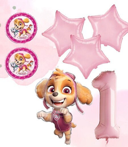 Paw Patrol Balloons | Paw Patrol Skye Helium Balloon Bouquet | Skye Bi ...
